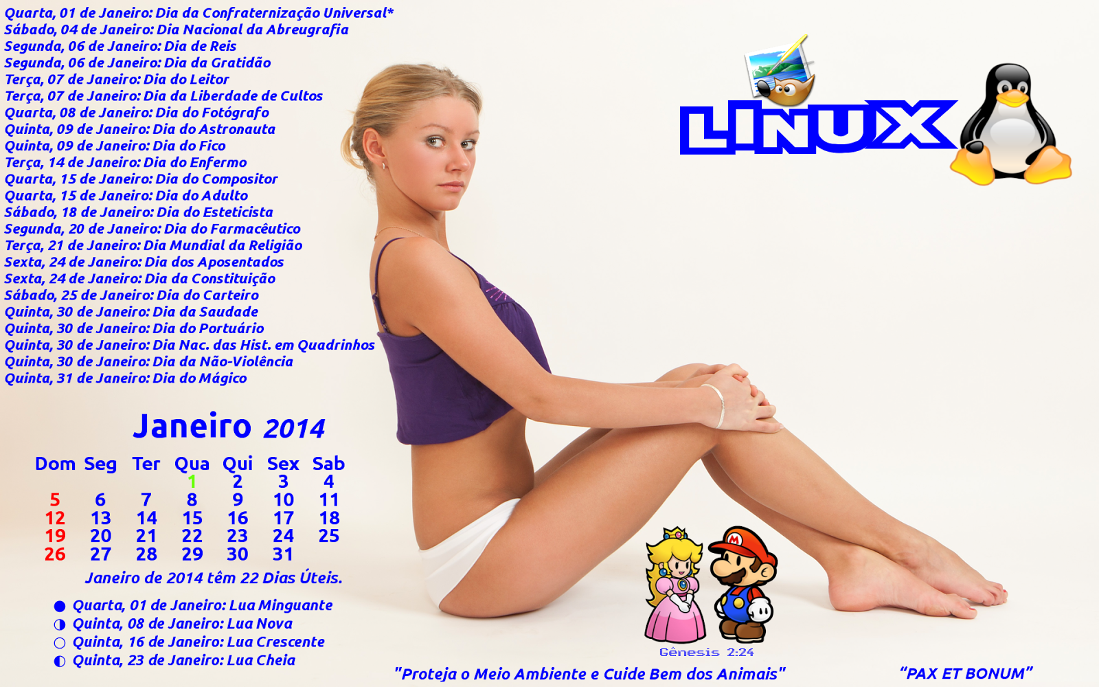 superlinuxmg-br: 2013